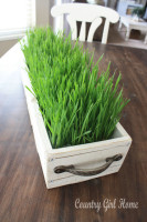 Fun Ways to Grow Your Own Easter Grass - My List of Lists