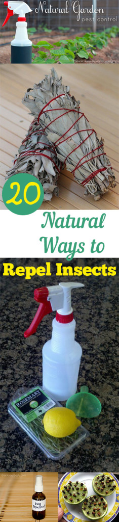 20 Natural Ways to Repel Insects - My List of Lists