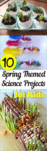 10 Spring Themed Science Projects for Kids - My List of Lists