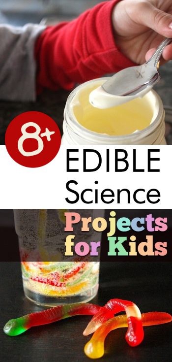 8+ EDIBLE Science Projects for Kids – My List of Lists