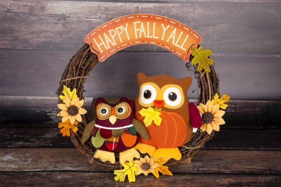 Give A HOOT With These Adorable DIY Fall Owl Wreaths